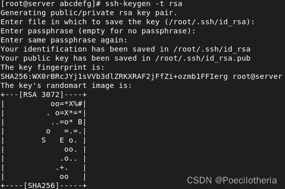 SSH秘钥免密登录与OpenLabWeb站搭建及DNS配置教程,-CSDN博客