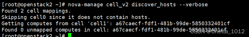 Nova的安装与配置_compute上显示没有nova.conf-CSDN博客
