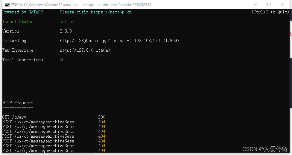 Natapp内网穿透教程-CSDN博客