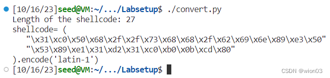网络攻防技术—shellcode编写实验task 1d Providing Environment Variables For Exec Csdn博客