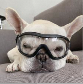 DashVector + ModelScope 玩转多模态检索_dashvector向量检索服务-CSDN博客