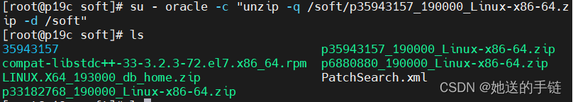 ORACLE19c从19.3打补丁升级到19.22以及回退_oracle 19.22-CSDN博客