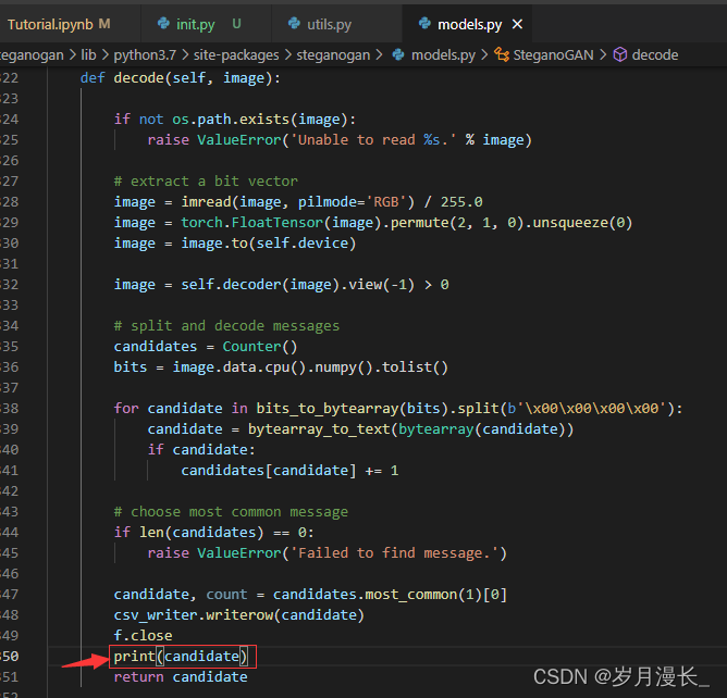 【论文复现】steganoGAN项目运行整理-CSDN博客