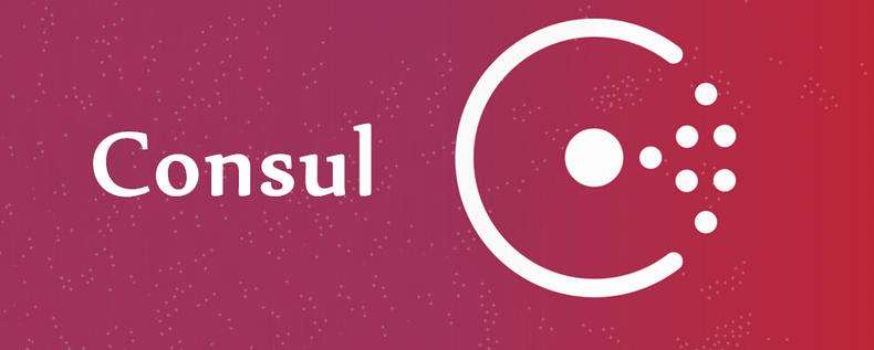 【.NET Core】注册中心consul介绍与实现_net consul-CSDN博客