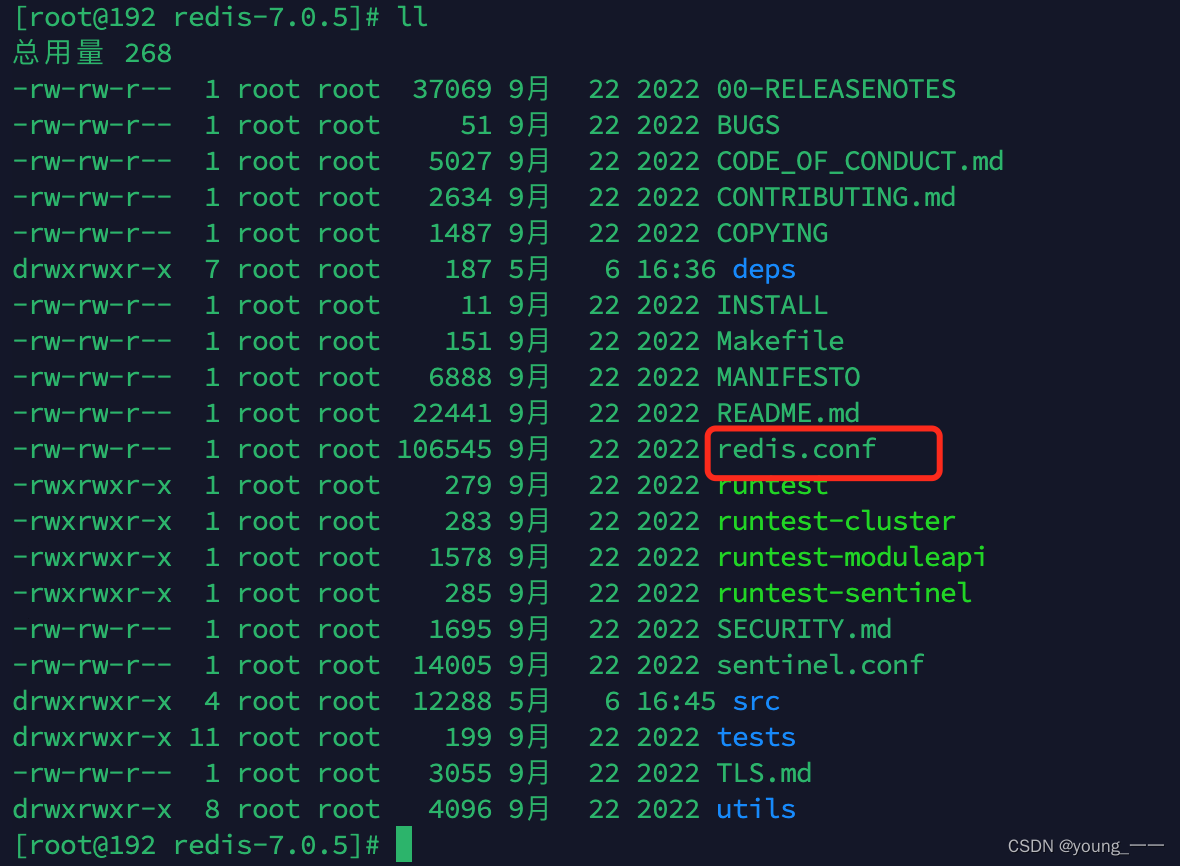 linux上Redis安装使用_linux redis-CSDN博客