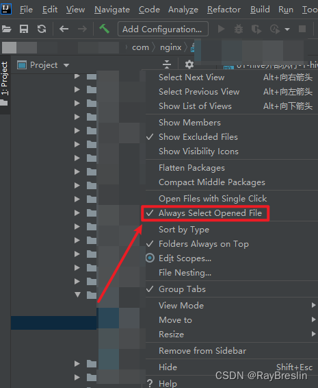 Idea 的选择文件后定位瞄准器 “Select Opened File“ 的功能不见了_idea定位文件的按钮不见了-CSDN博客