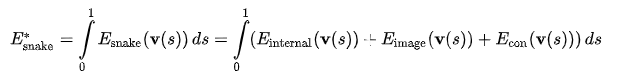 Snake Contour 蛇形轮廓分割算法总结 以及 CVPR2020 Deep Snake for Real-Time Instance Segmentation_snake 分割 cpp ...