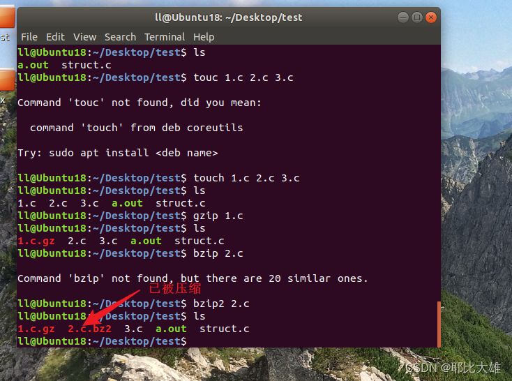 Linux基础操作，学习的最后一天_linux ln -sv-CSDN博客