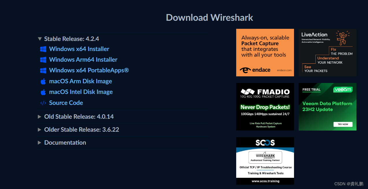 wireshark工具的安装和使用_wireshark4.2.4-CSDN博客