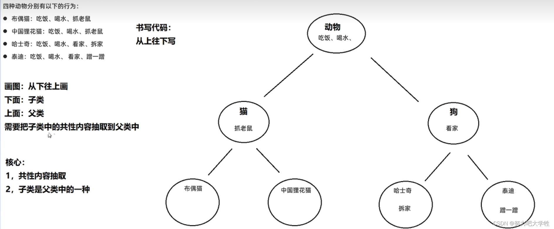 Java 面向对象-继承-CSDN博客