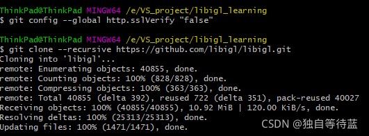 libigl正确安装教程（win10+visual studio 2019）_libigl教程-CSDN博客