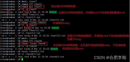 Linux学习第七节-SUID、SGID、SBIT特殊权限_liunx suid权限怎么修改-CSDN博客