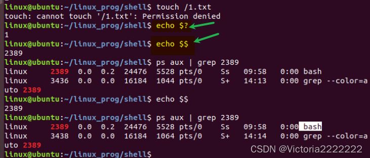Linux环境编程（高级编程）linux环境高级编程 Csdn博客