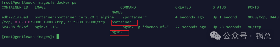 教程： portainer可视化容器管理软件的安装与使用； 29.4k star 运维的福音! 强烈推荐！！！..._portainer教程-CSDN博客
