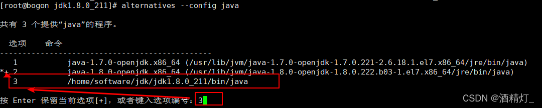 Linux上安装多个JDK，并随意切换版本_linux安装两个jdk-CSDN博客