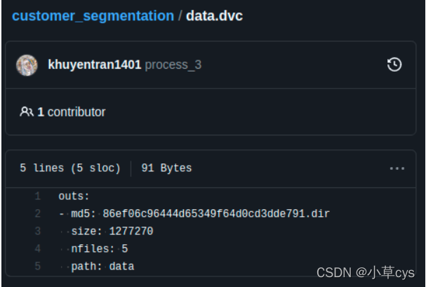DagsHub为数据科学家和ML工程师提供GitHub补充-CSDN博客