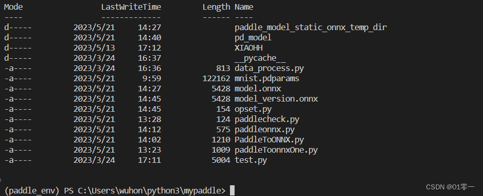 paddlepaddle导出onnx_paddle模型转onnx-CSDN博客