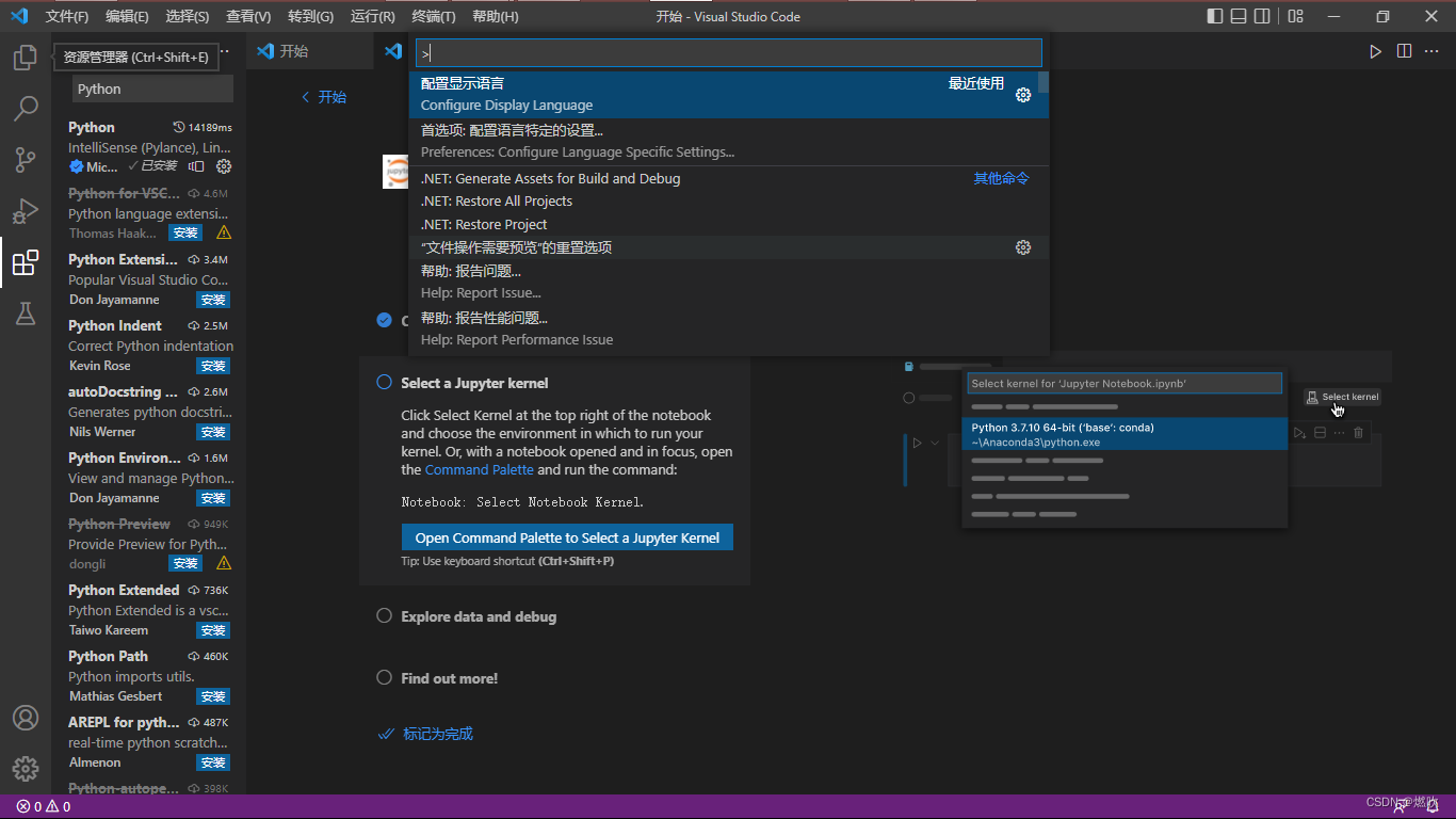 py3_VSCode 配置 Python 环境以及初识 Python 正则表达式_vscode 正则表达式-CSDN博客