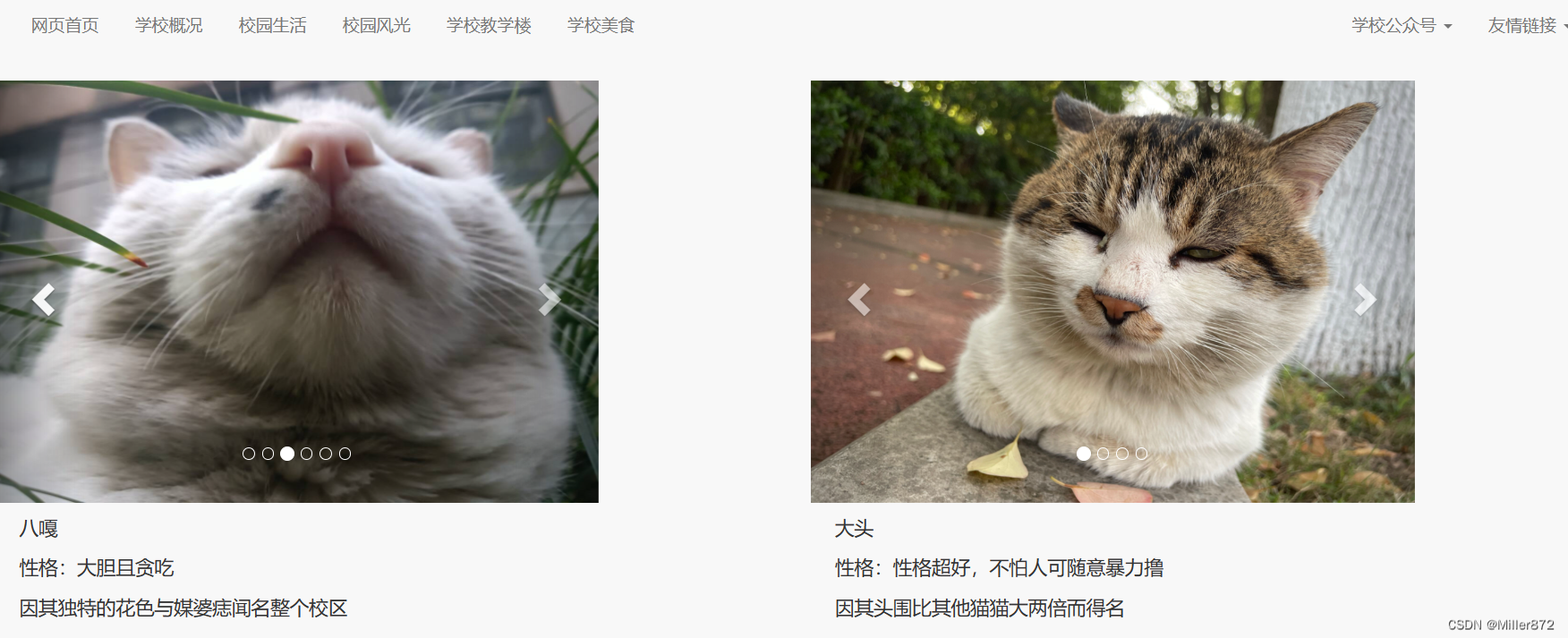 Web前端大作业（我的学校）_前端_Miller872-魔乐社区