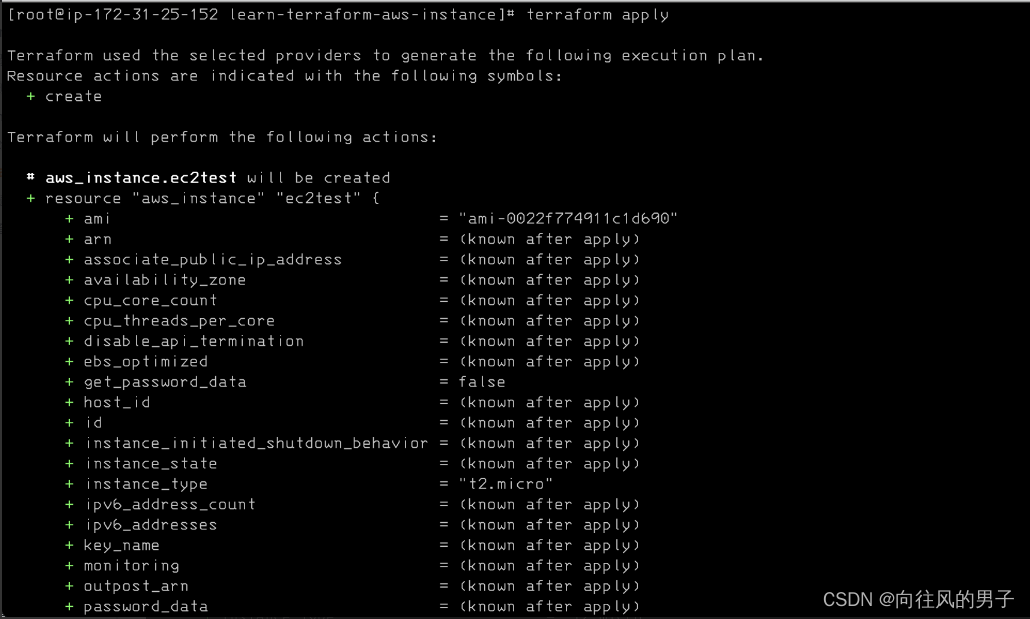 【terraform学习】terraform Aws部署快速入门（快速入门）aws云terraform部署 Csdn博客 0868