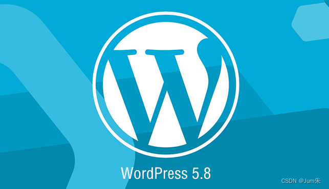 玩转代码|wordpress过滤函数使用方法（防止sql注入）_wordpress 后台登录过滤函数-CSDN博客