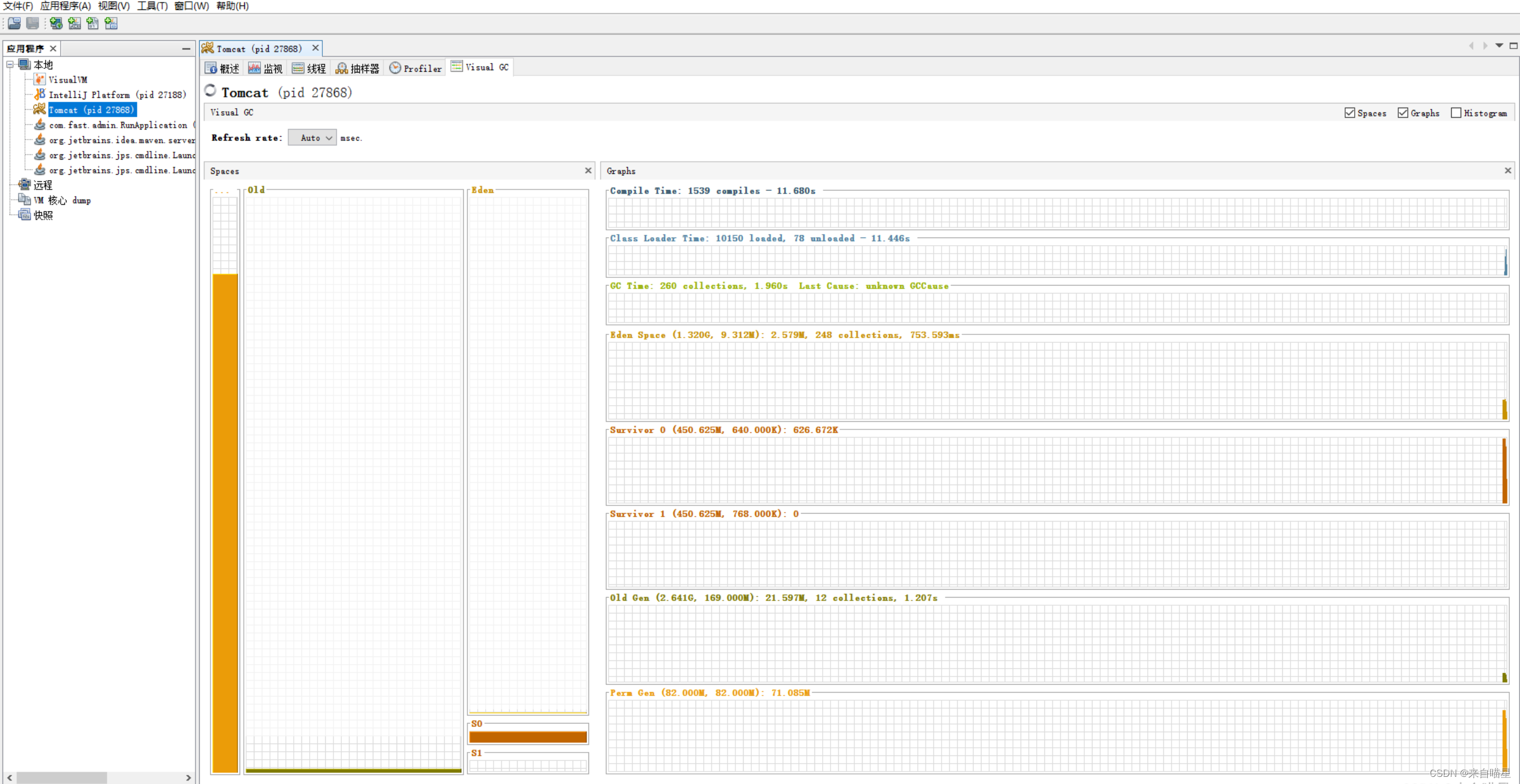 主机jvisualvm连接到tomcat服务器查看jvm状态_visual gc 不受此jvm支持-CSDN博客