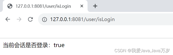 sa-token做登录验证_satoken 校验token-CSDN博客