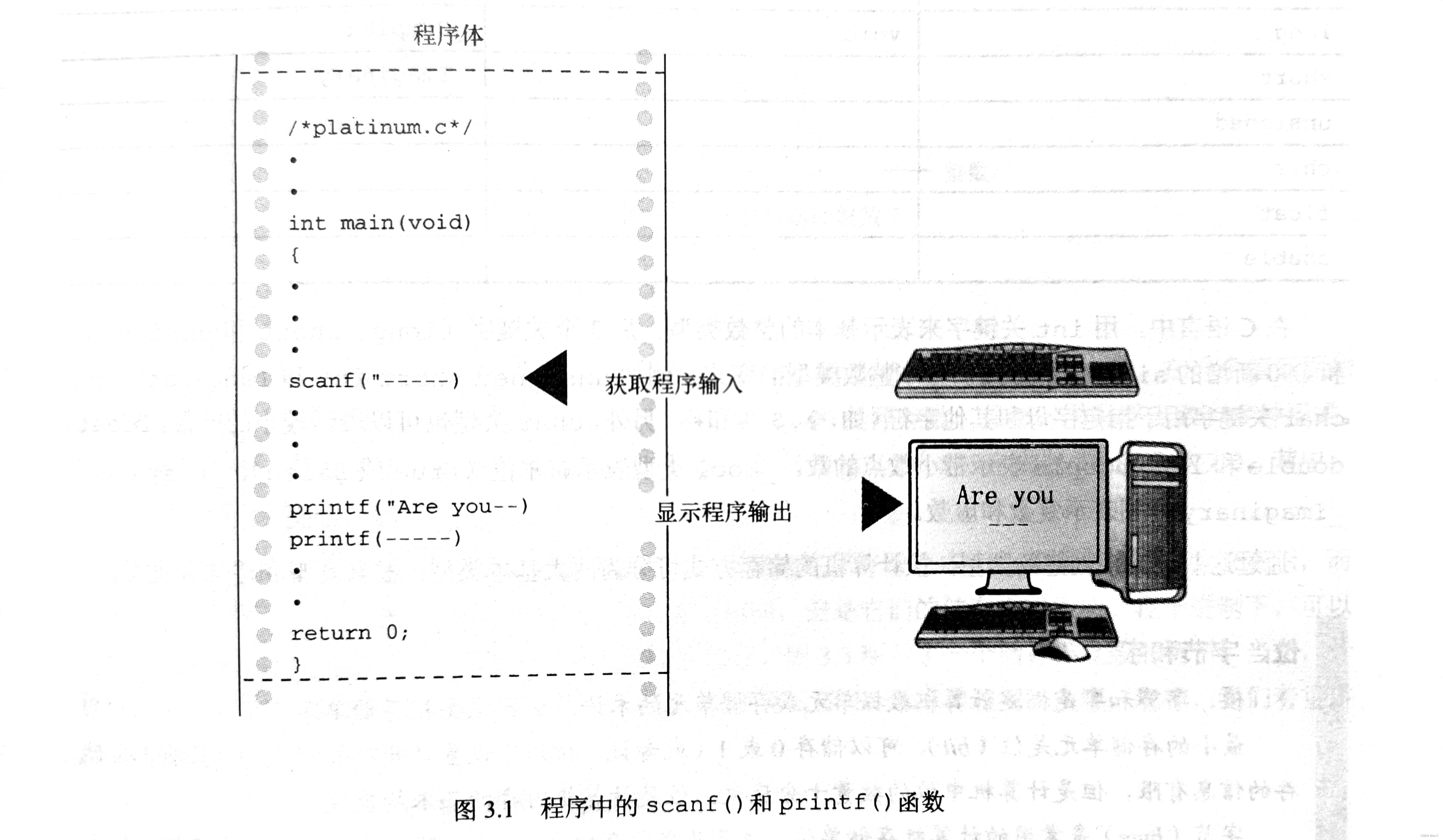 数据和C-CSDN博客