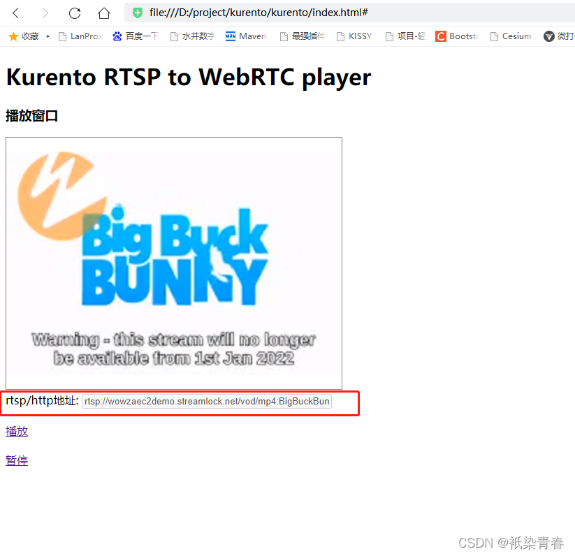 kurento-media-server和cotrun打洞的服务器的安装及部署,实现RTSP转WebRTC视频流播放_kurento-media-server 编译安装-CSDN博客