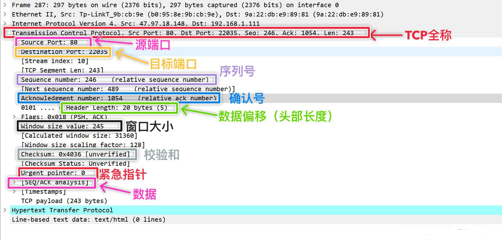传输层协议分析--第1关：TCP 包基础-CSDN博客