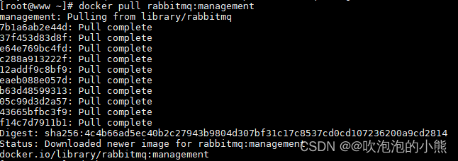 RabbitMQ实战：从入门到精通-CSDN博客