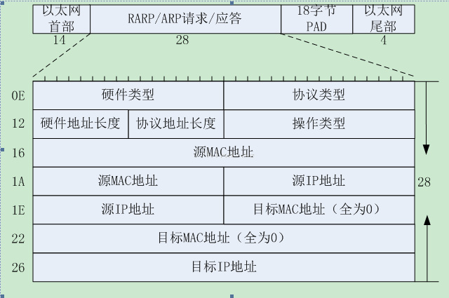 TCP/IP/ARP/ICMP首部分析_以太网首部-CSDN博客