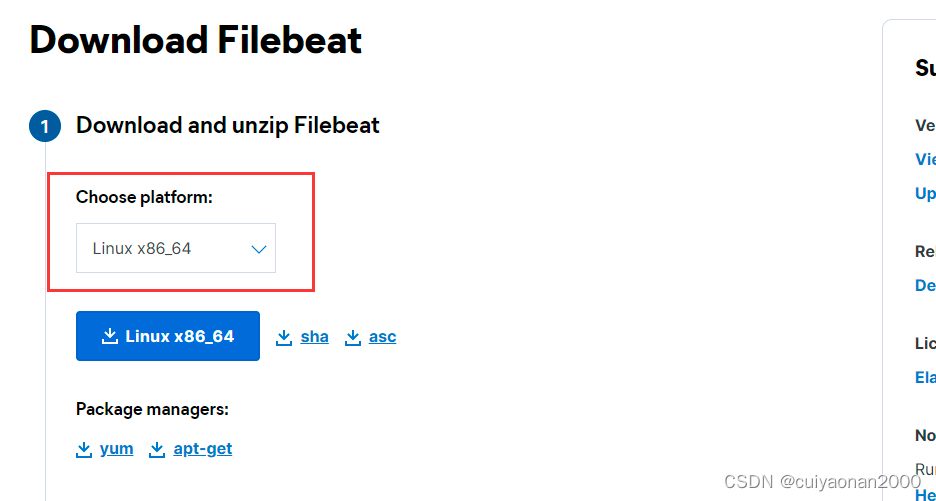 Filebeat日志采集详解-CSDN博客