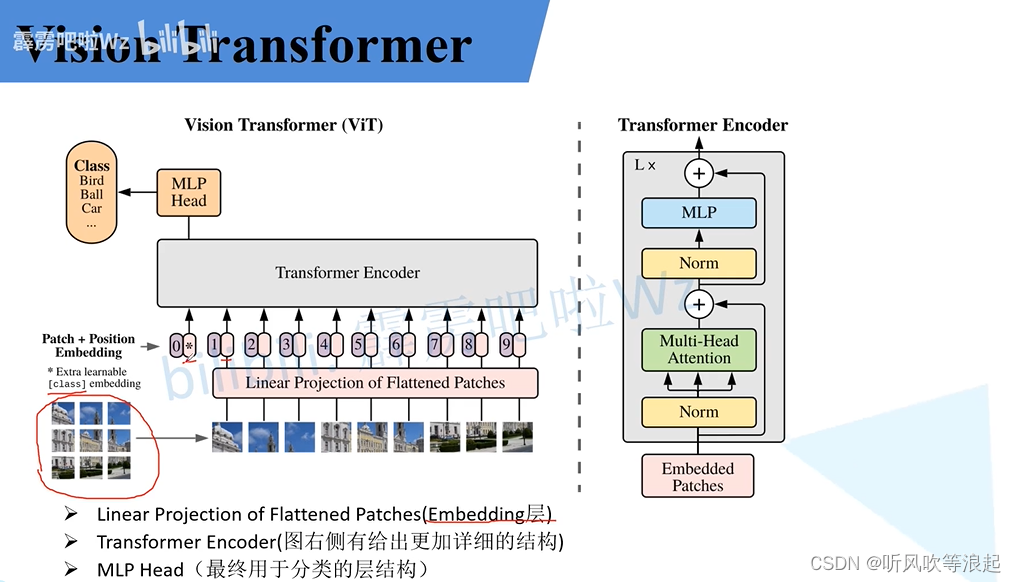Swin-Transformer 在图像识别中的应用_基于swin-transformer的花卉识别-CSDN博客