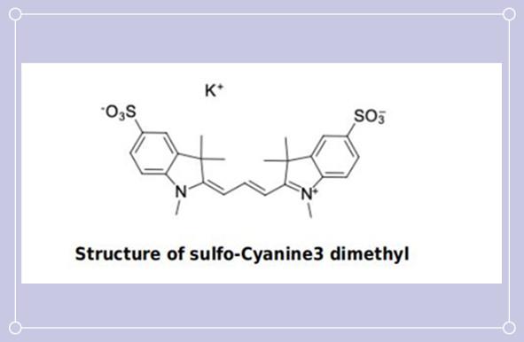 Sulfo Cyanine3 dimethyl，磺基氰基3二甲基，具有亮黄色荧光的非官能化水溶性氰基染料_cas号n.a-CSDN博客