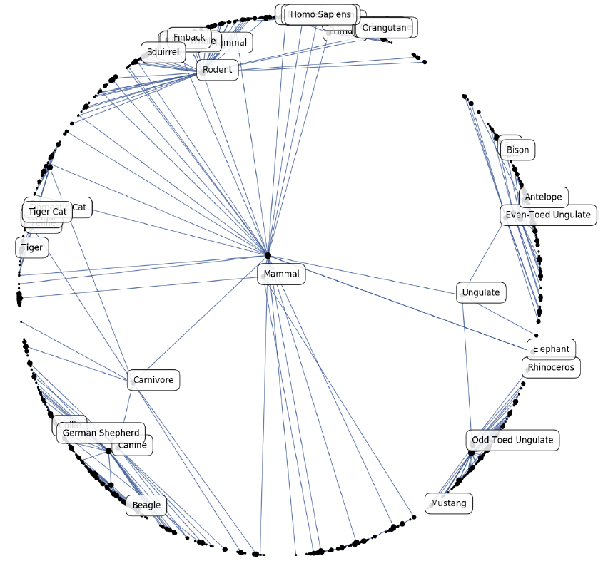 [NeurIPS 2017] Poincaré Embeddings for Learning Hierarchical Representations_poincar茅 embeddings ...