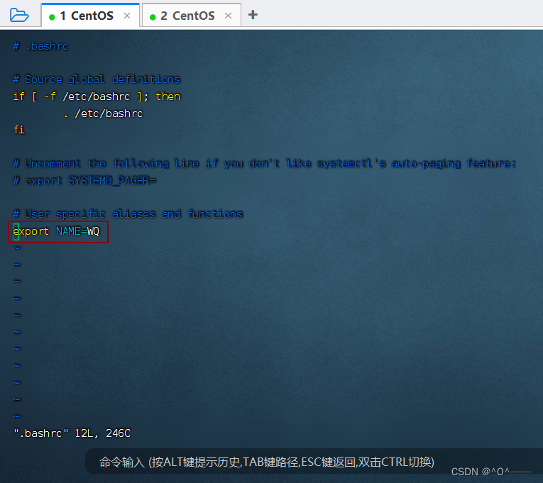.bashrc-bash: export: `=`: 不是有效的标识符_export 不是有效的标识符-CSDN博客