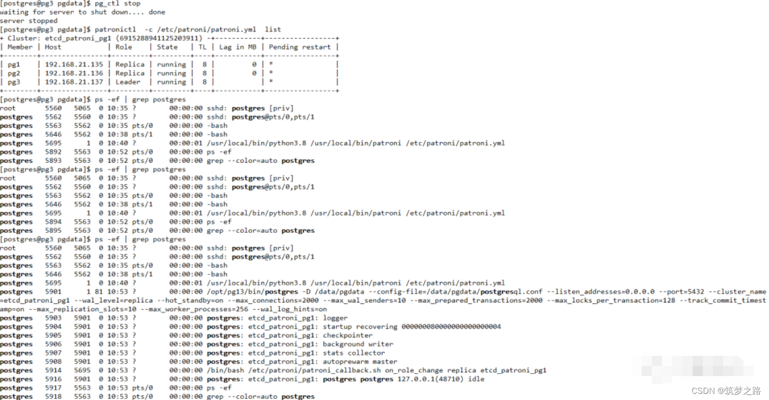 基于Patroni+etcd+流复制搭建PostgreSQL高可用——筑梦之路_patroni etcd-CSDN博客