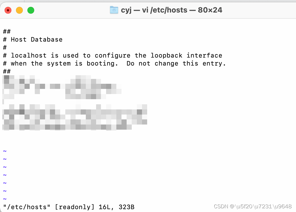 如何修改mac的hosts文件_mac改hosts-CSDN博客