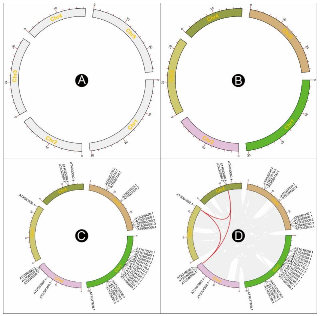 iMeta | 高被引 Circos图绘制工具TBtools-CSDN博客