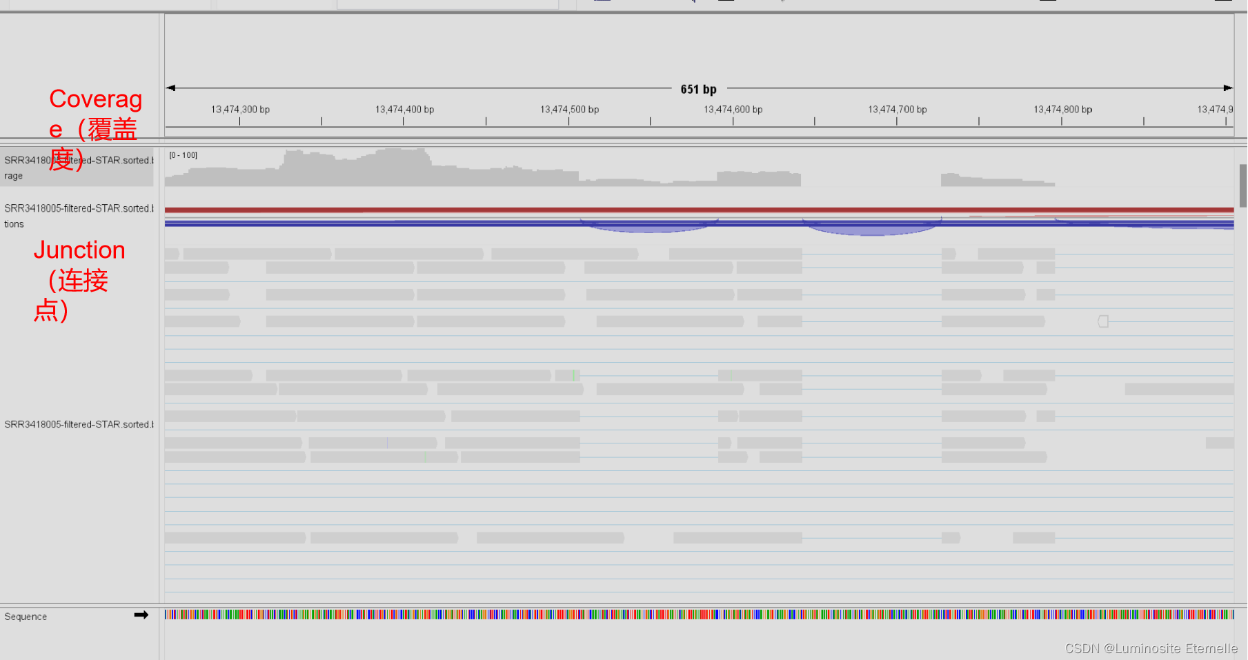 Linux系统下RNA-seq分析（2.STAR比对和cufflinks拼接）_star.aligned.out.sam-CSDN博客
