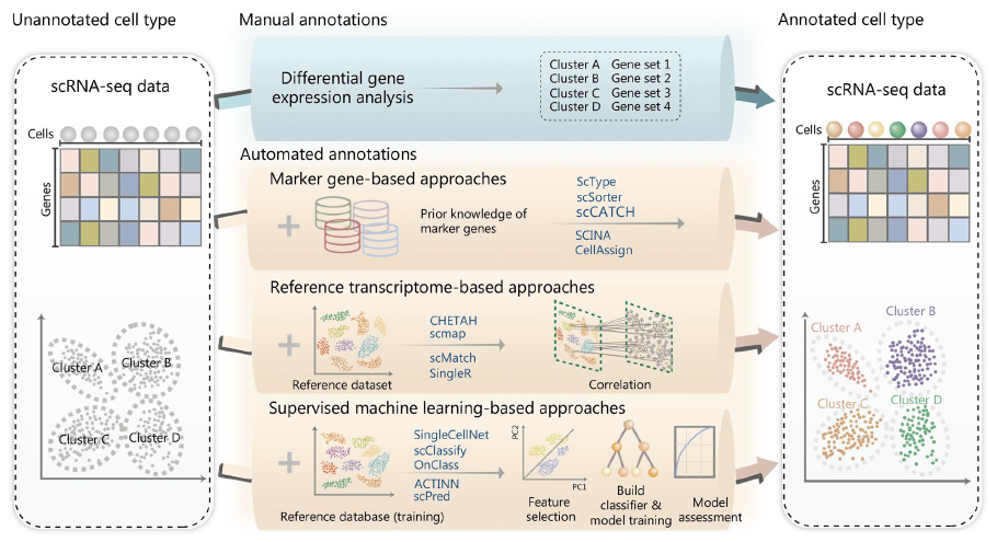 超详细 | 生物医学研究和临床应用中scRNA-seq的数据分析指南_scsorter rna-CSDN博客