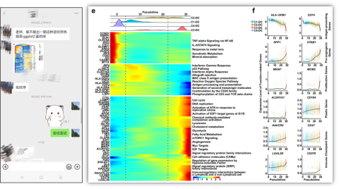 ggplot修饰monocle2拟时热图：一众问题全部解决_monocle2热图-CSDN博客