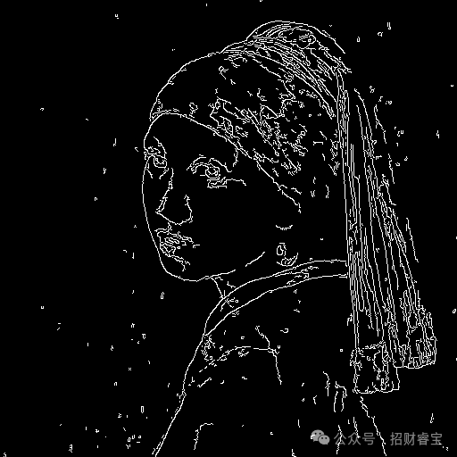 Diffusers代码学习-ControlNet_from diffusers.loaders import fromoriginalcontroln-CSDN博客