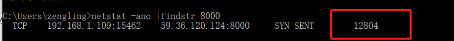 解决问题：Usage: java javassist.tools.web.Webserver ＜port number＞ || windows的cmd窗口查看端口使用情况_usage ...