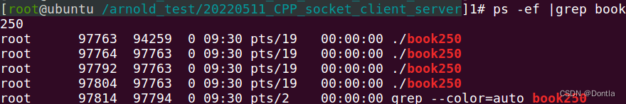 C语言socket服务端报错：bind socket error: Address already in use(errno: 98)（setsockopt()各使用场景）-CSDN博客