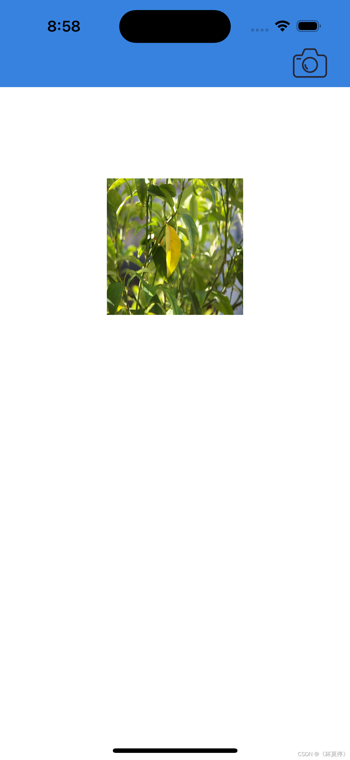 【iOS-UIImagePickerController访问相机和相册】-CSDN博客