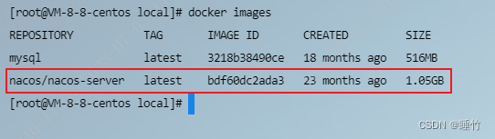 docker安装nacos并配置数据库_nacos数据库-CSDN博客