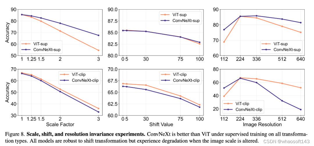 ConvNet vs Transformer, Supervised vs CLIP-CSDN博客